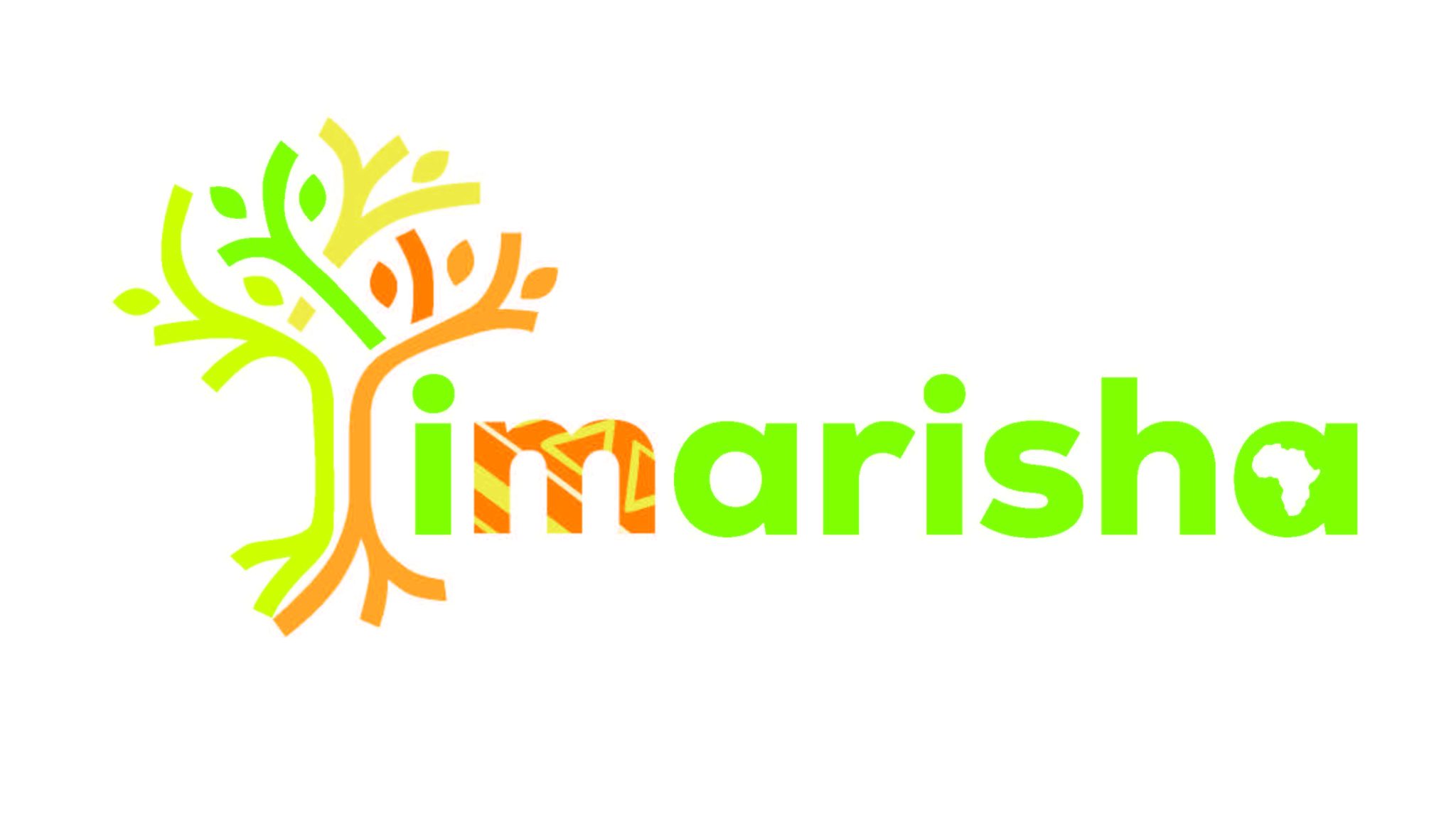Imarisha: Strengthening PHC by addressing gendered workplace violence ...